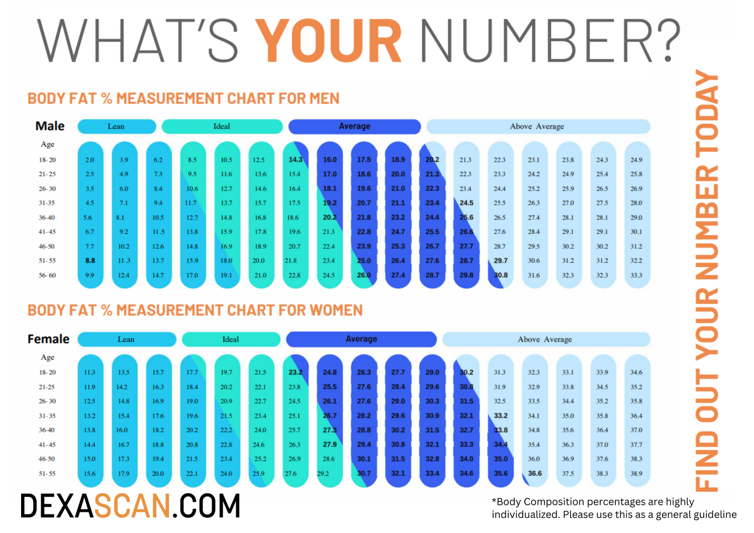 The Complete Guide to Body Composition for Men and Women – DEXA SCAN ...