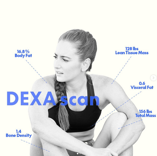 Get a DEXA, PHY Scan, Fitness Panel in Venice Beach – DEXA SCAN NEAR ME