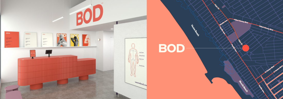 Get a DEXA, PHY Scan, Fitness Panel in Venice Beach – DEXA SCAN NEAR ME